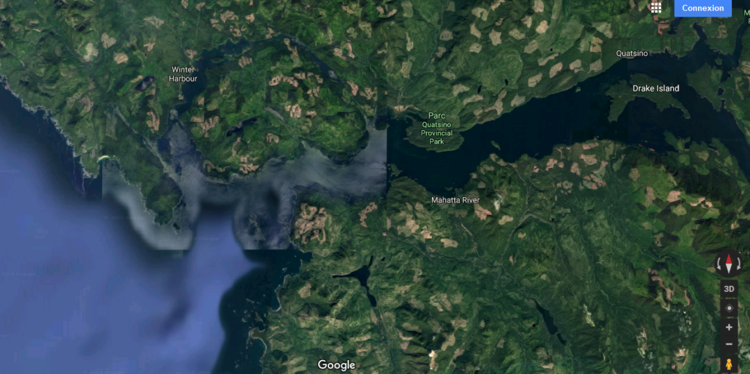 De l'arbre à la planche: L'industrie forestière sur l'île de Vancouver ...