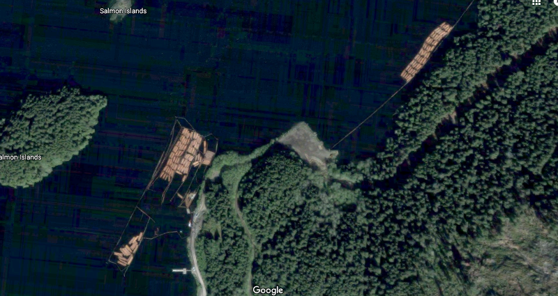 De l'arbre à la planche: L'industrie forestière sur l'île de Vancouver ...